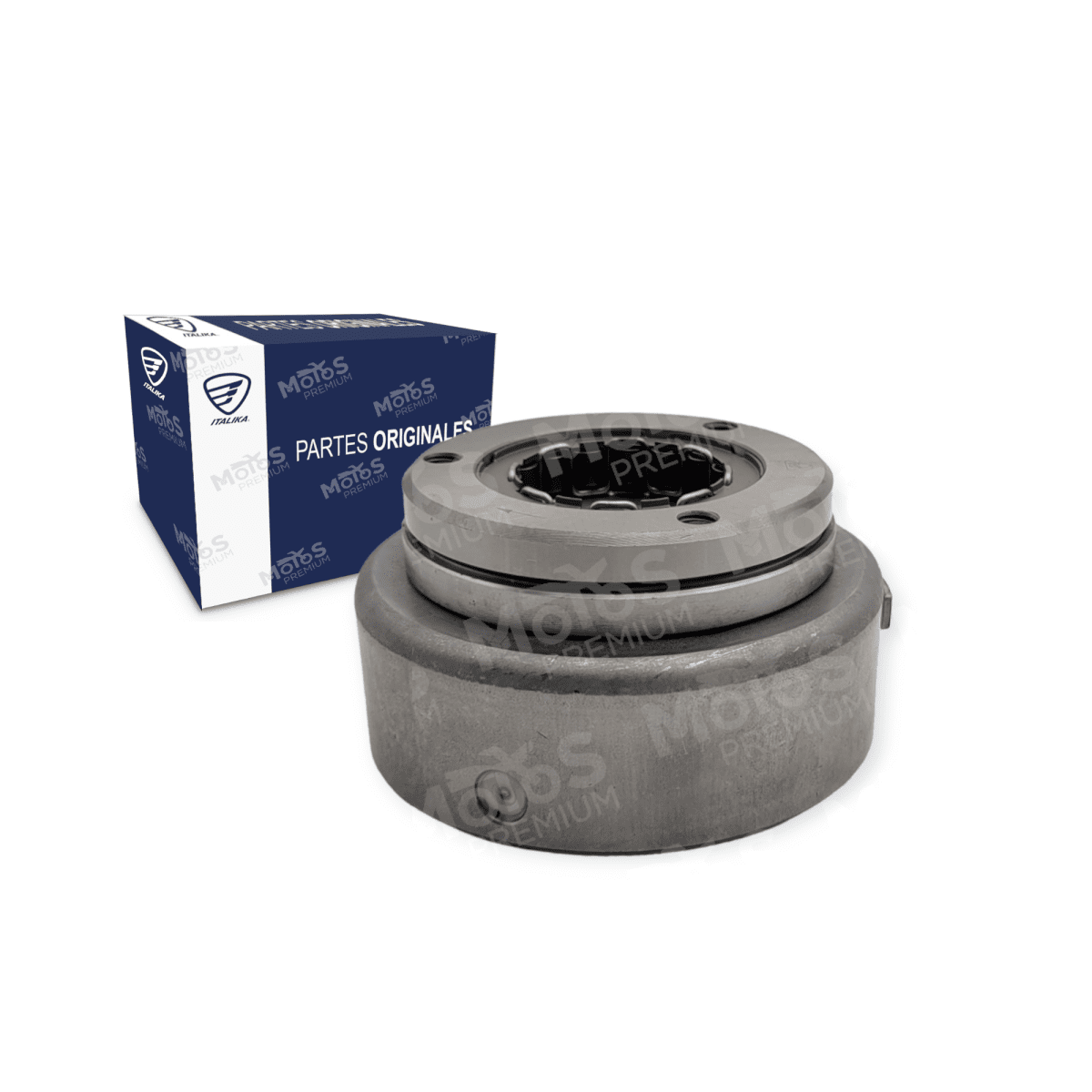 Rotor Italika 250z, 250z Negra, Dm250 Original – Motos Premium